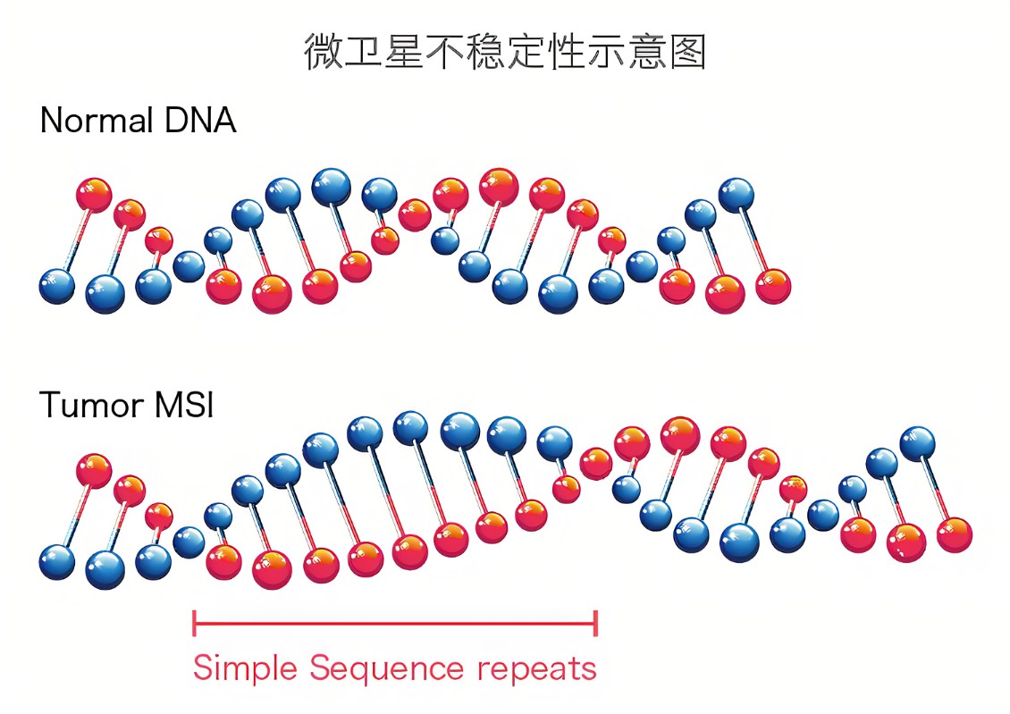 山东新生命医疗科技有限公司 - 山东新生命医疗科技有限公司